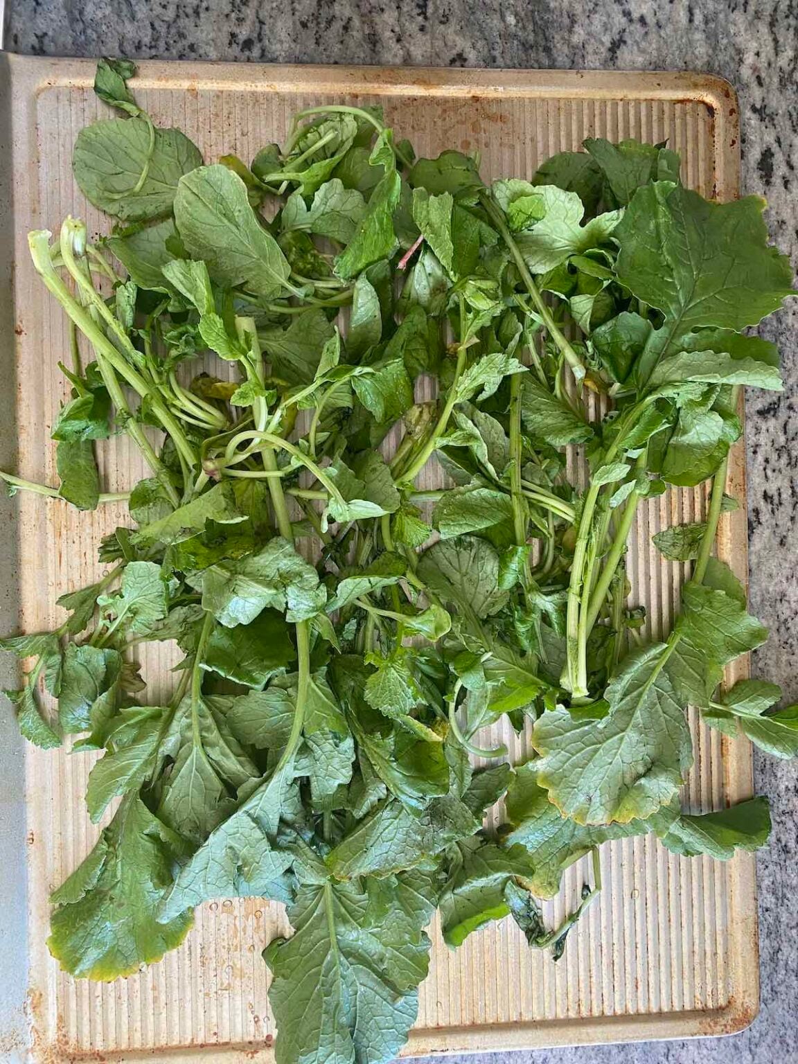 Simple Roasted Radish Salad (Radish Green Tips) | Sofa Dinners