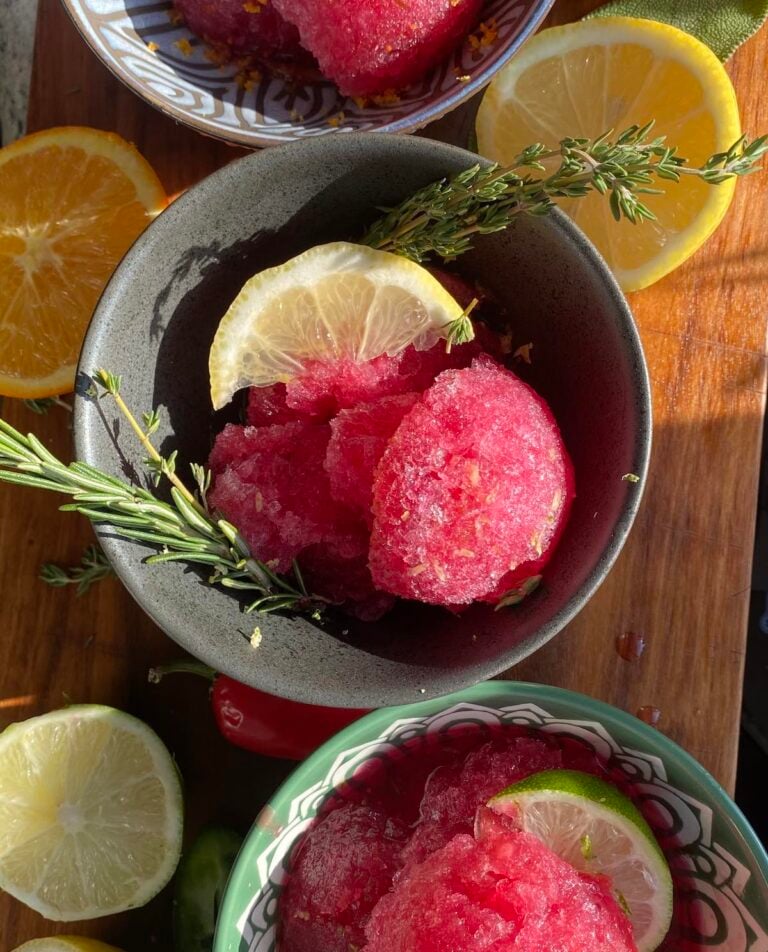 Cranberry Ice (Similar to Granita or Sorbet) | Sofa Dinners